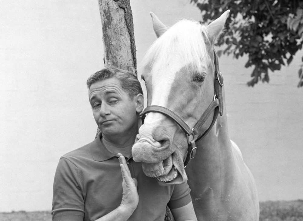 MISTER ED - IL MULO PARLANTE - Spietati - Recensioni e Novità sui Film